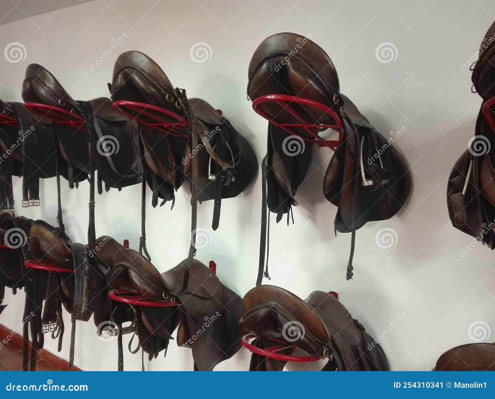 Group of horse mounts stock image. Image of sport, equestrian - 254310341