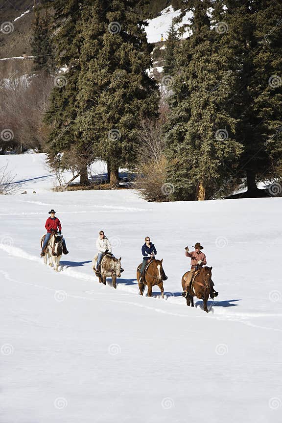 Group horseback riding. stock image. Image of copy, space - 2846515