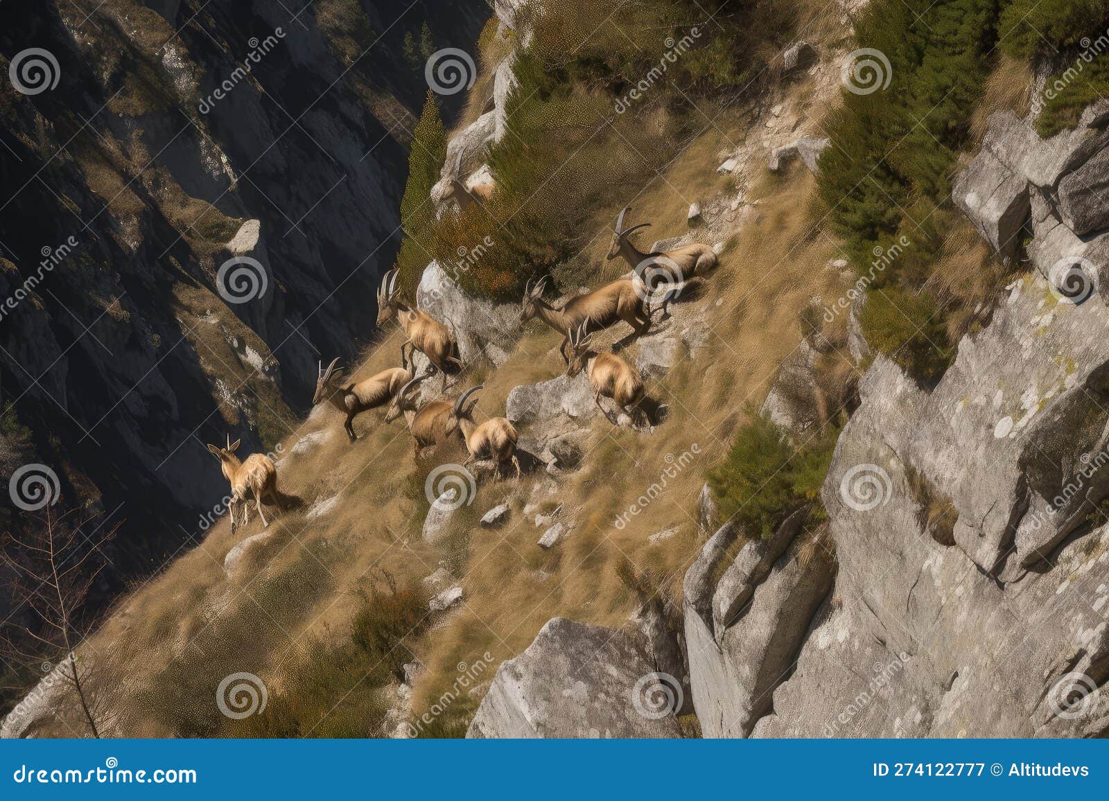 Group of Ibex Leaping from Cliffside into the Abyss Below Stock ...