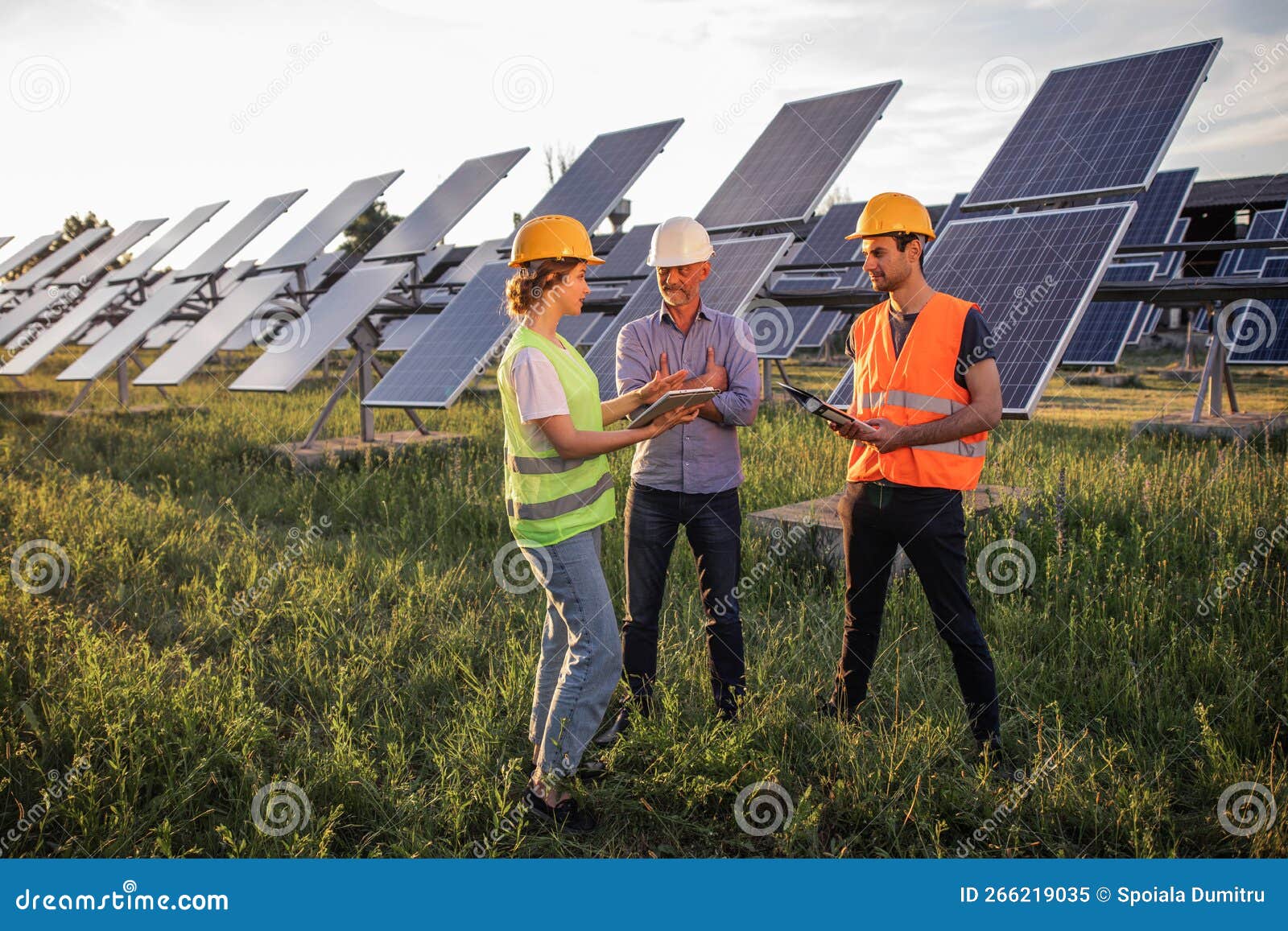 Group of Investors Together with Young Lady Ecological Engineer they ...