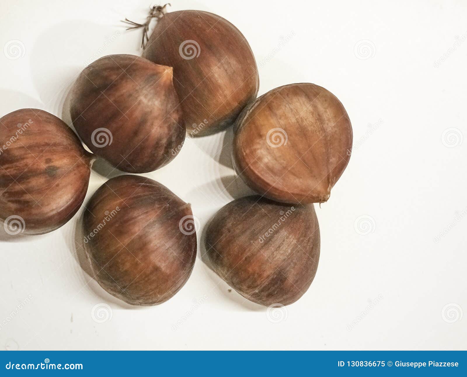 A Group of Isolated Chestnuts Stock Image - Image of food, gathered ...