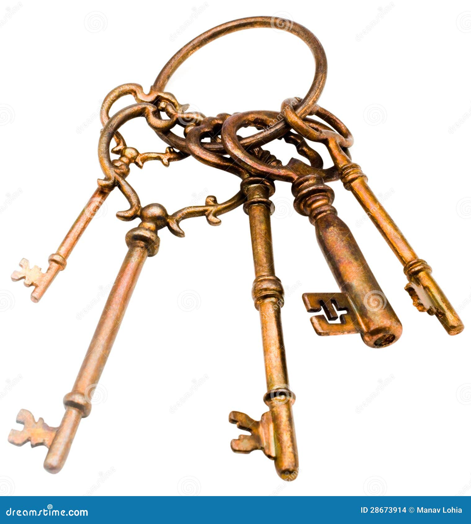 Group of keys stock photo. Image of choice, steel, safety - 28673914