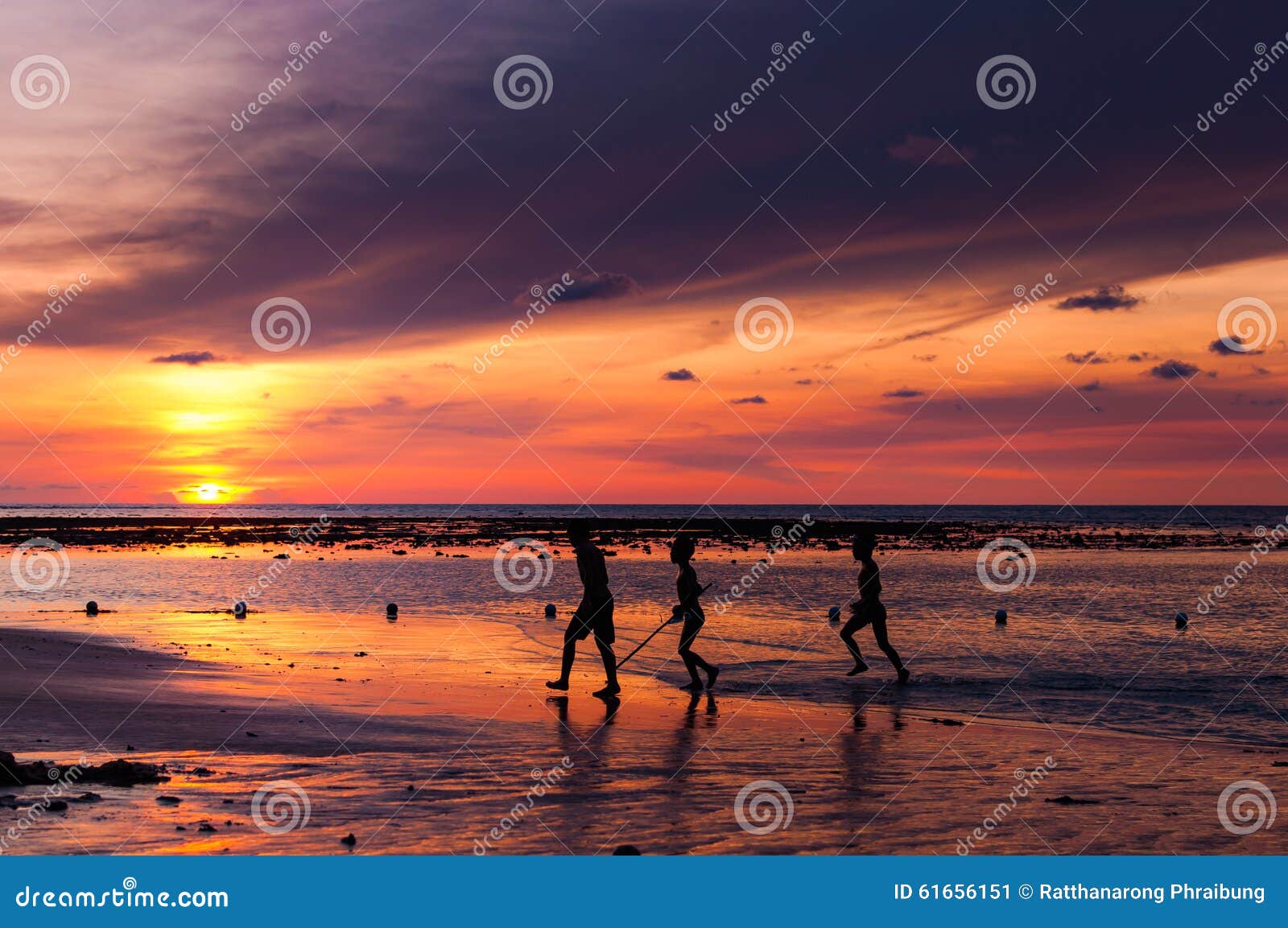 Group of Kids Explore the Beach at the Sunset Time Stock Image - Image ...