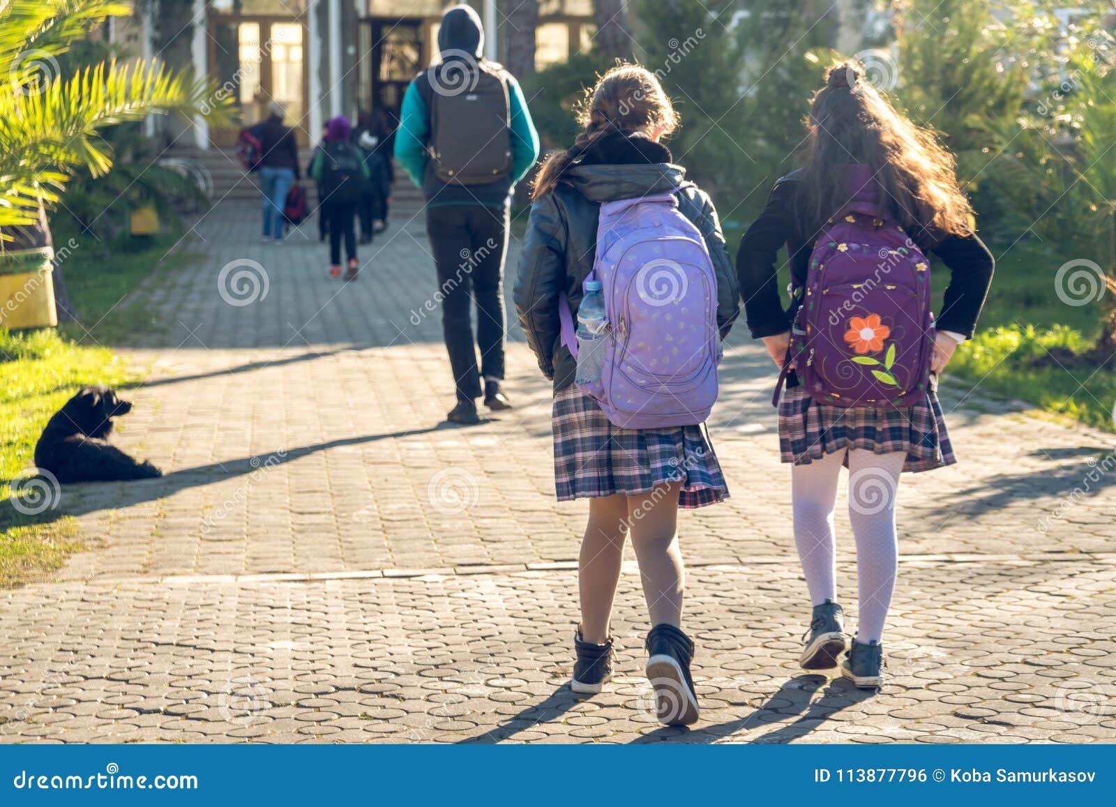 Going To School. Meet School Year. Happy Childrens Day. Elegant Look Of ...
