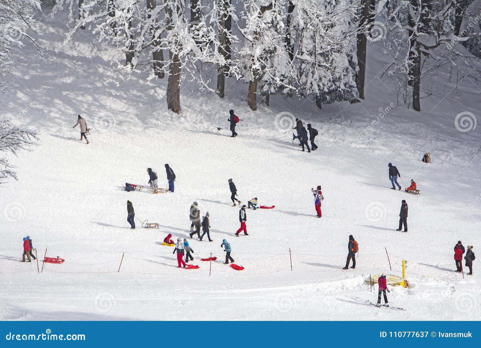 A Group Kids and People Sledding and Skiing in the Snow Stock Image ...