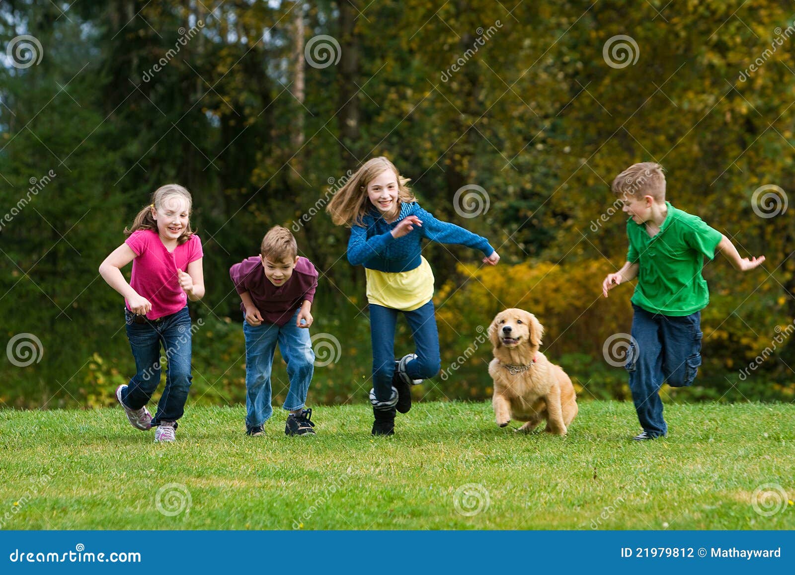 A Group of Kids Racing on Grass Stock Photo - Image of active, grass ...