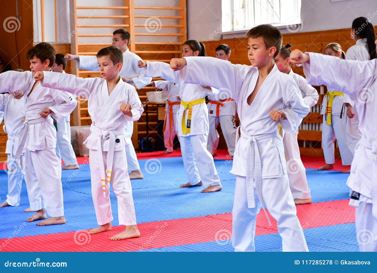 Kids training Karate editorial stock photo. Image of kimono - 117285278