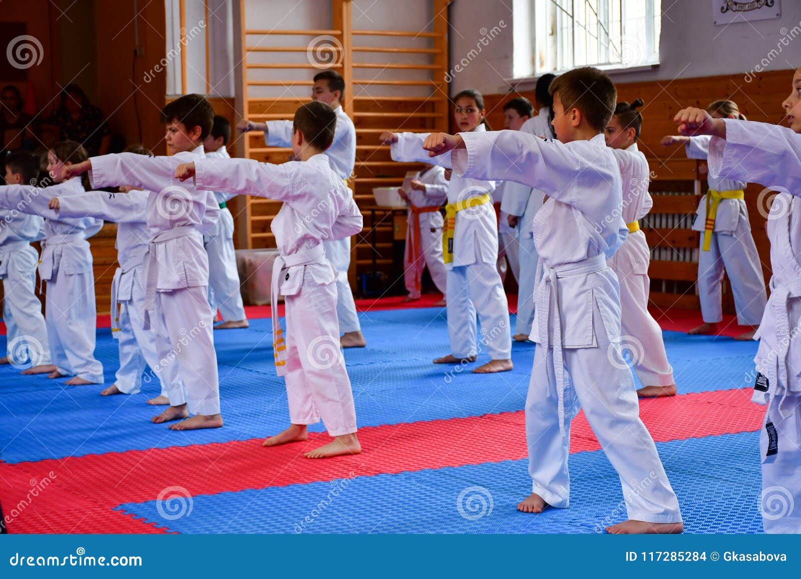 Kids training Karate editorial stock image. Image of kimono - 117285284
