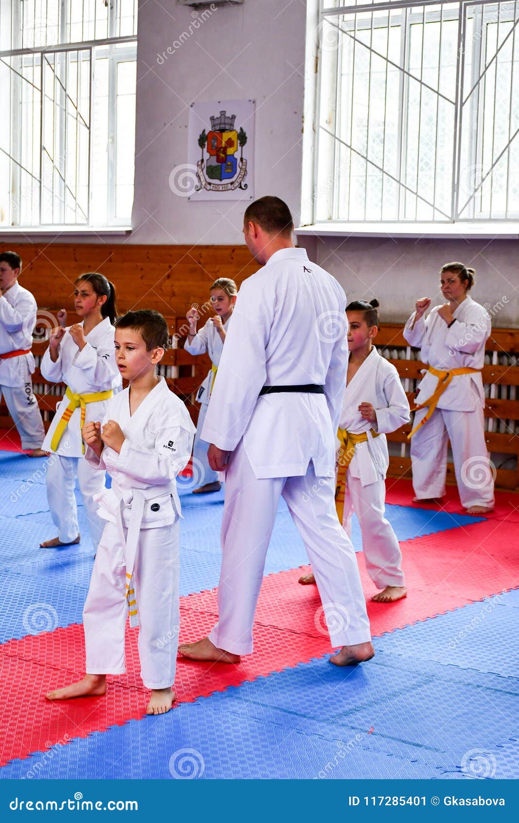 Kids training Karate editorial photo. Image of hand - 117285401