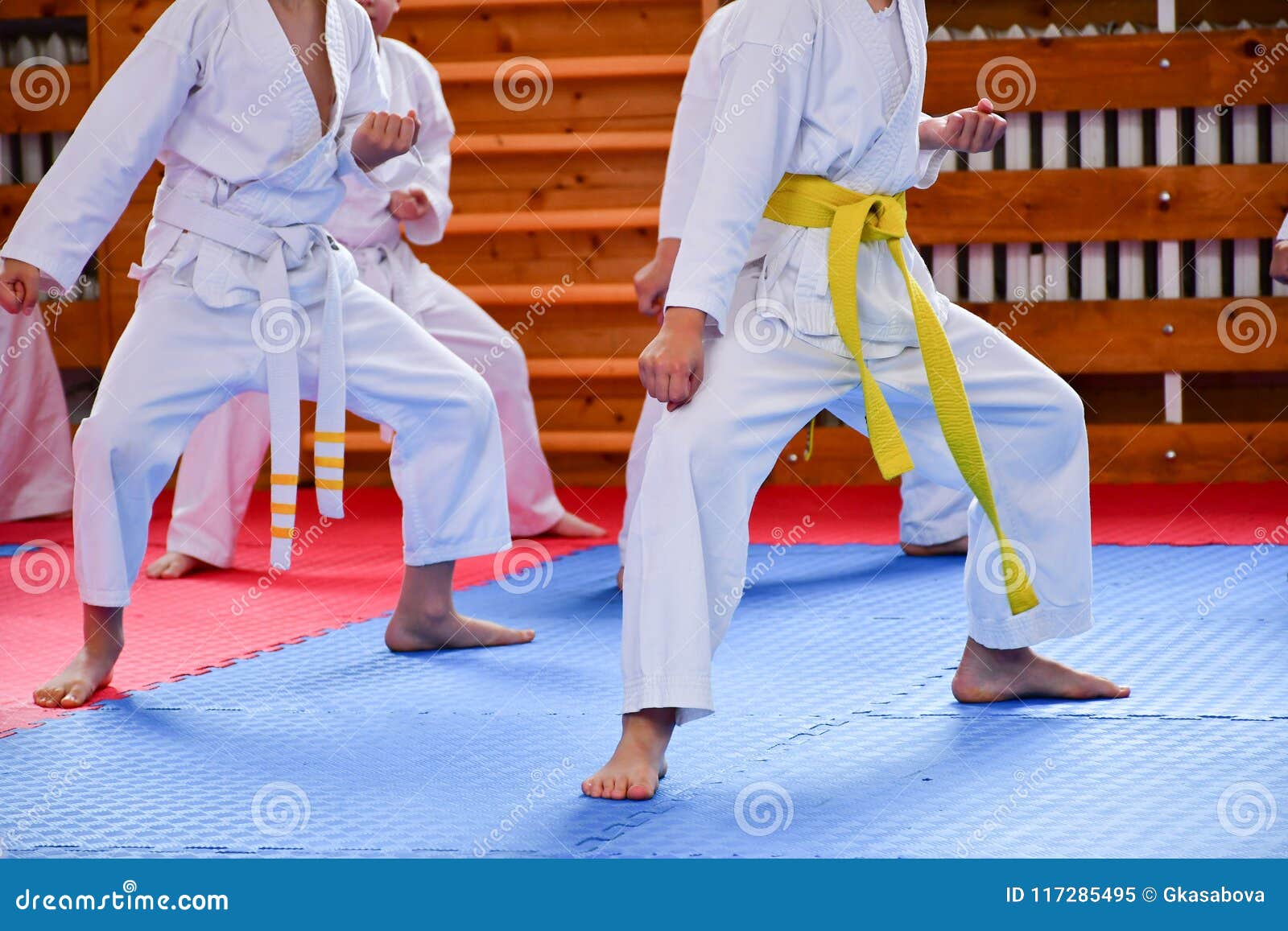 Karate training. stock image. Image of coast, combat - 117285495