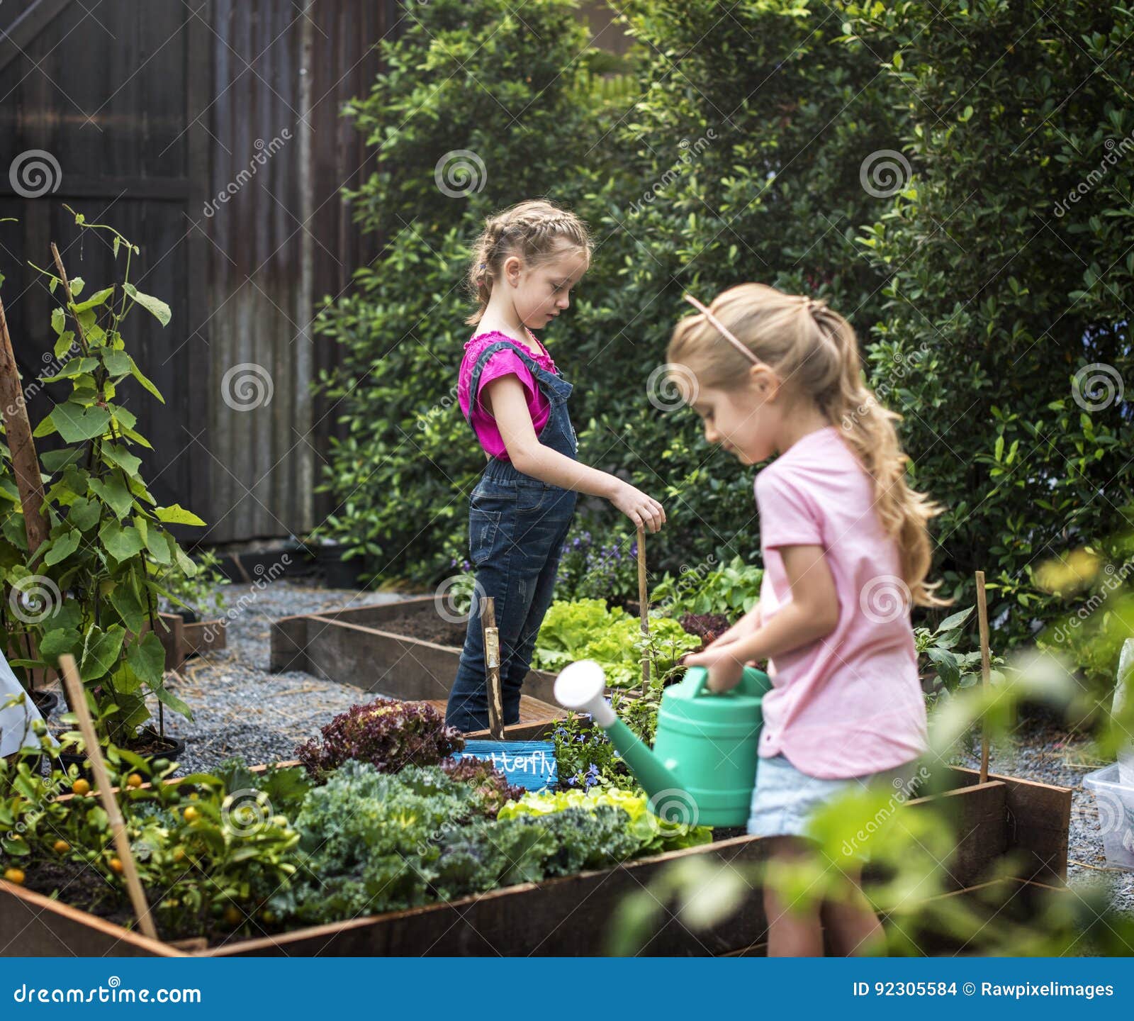 Group of Kindergarten Kids Learning Gardening Outdoors Stock Photo ...