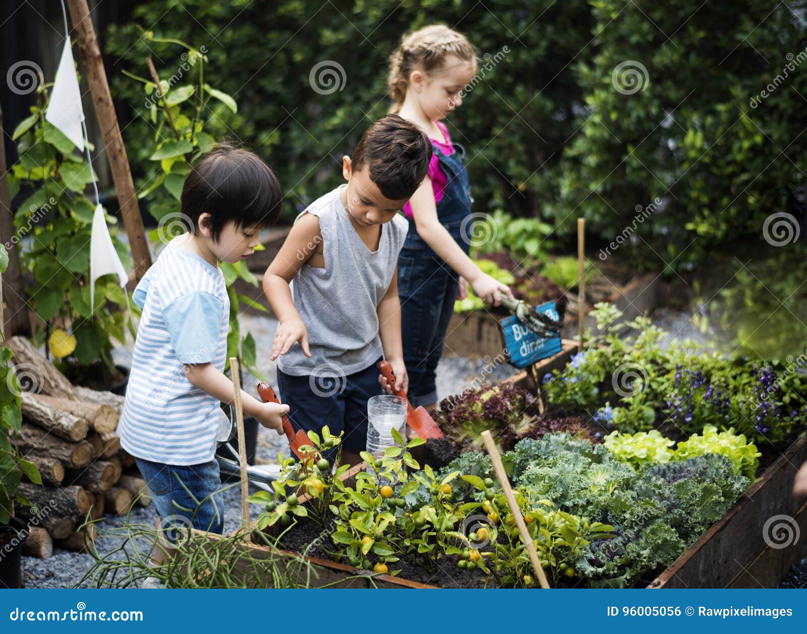 Group of Kindergarten Kids Learning Gardening Outdoors Stock Photo ...