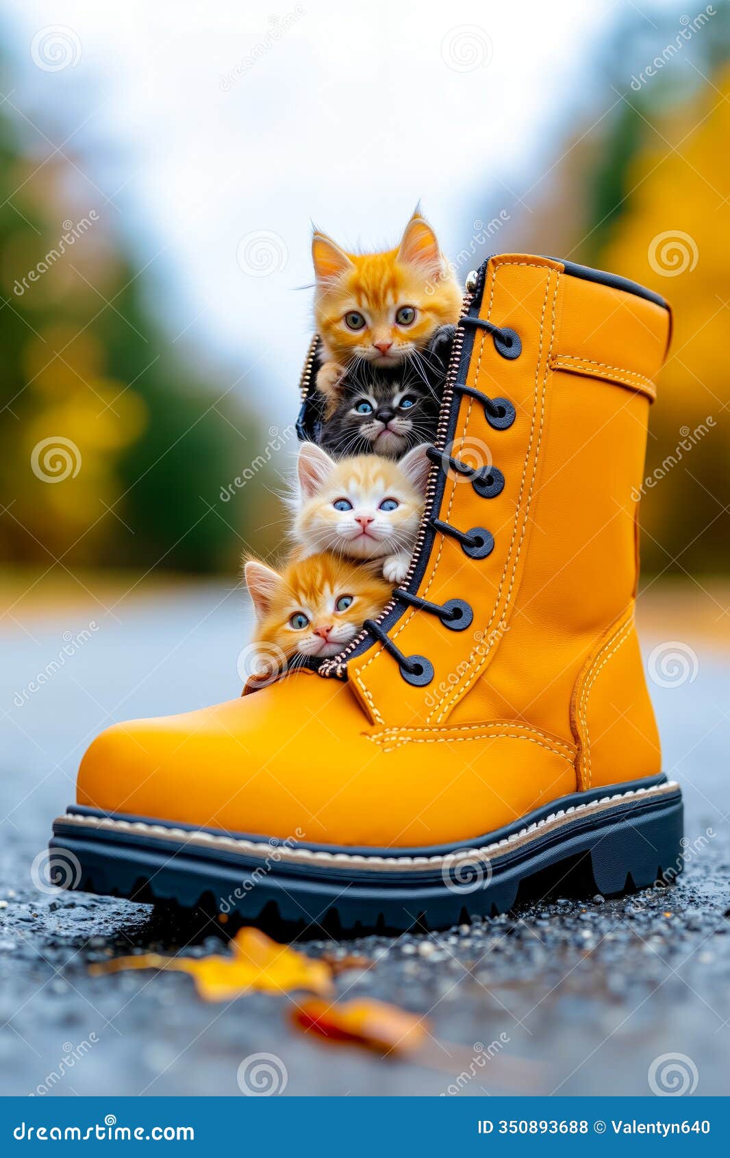 A Group of Kittens Sitting in a Pair of Yellow Boots Stock Photo ...
