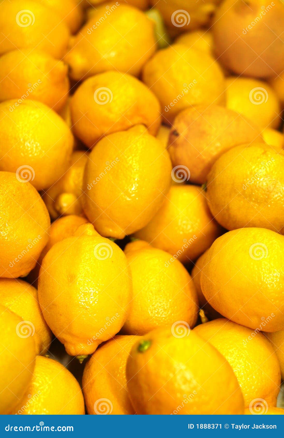 A group of lemons stock image. Image of cook, cake, sweet - 1888371