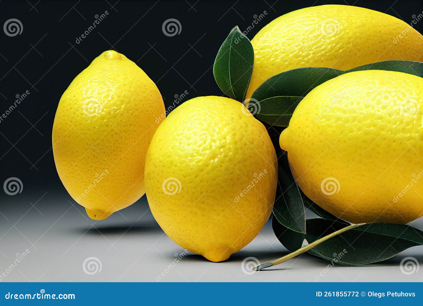 A Group of Lemons with Leaves on a Gray Background with a Black ...