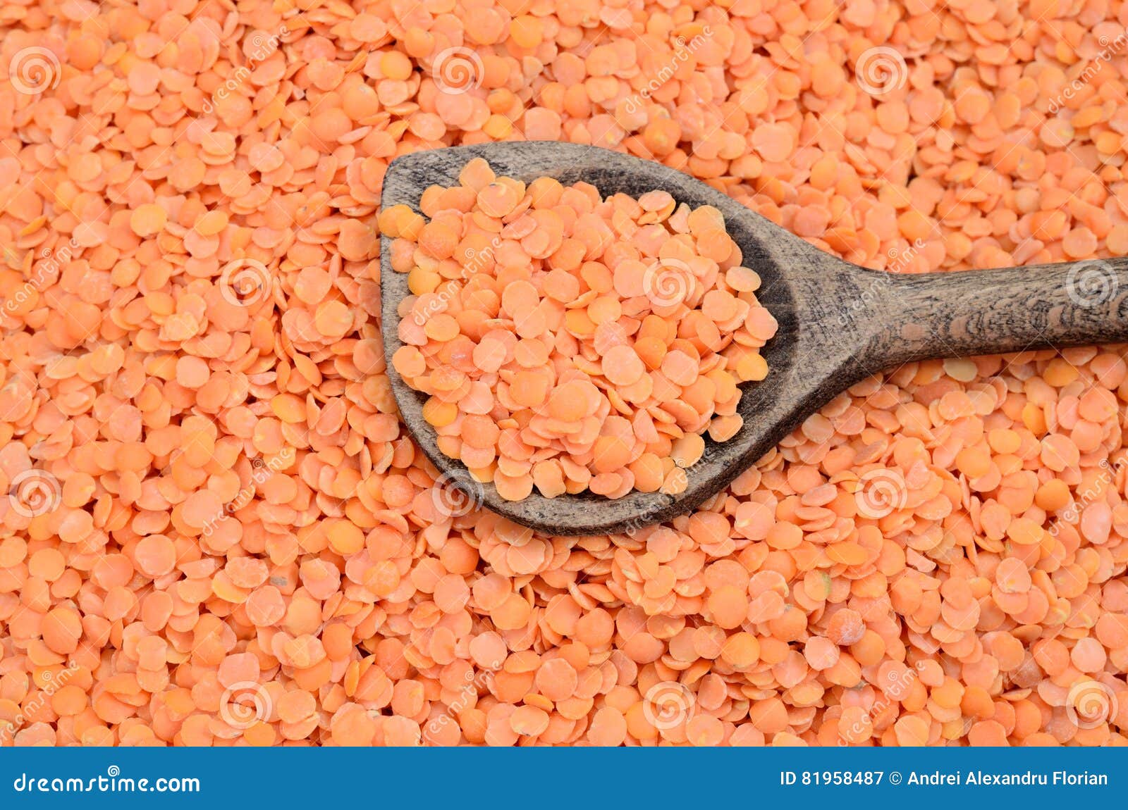 Group of lentil stock image. Image of protein, grain - 81958487