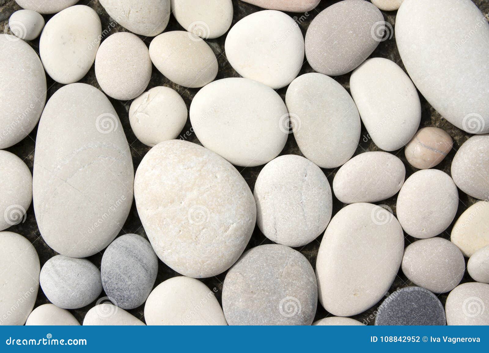 Group of Light Pebbles in One Layer Stock Photo - Image of background ...