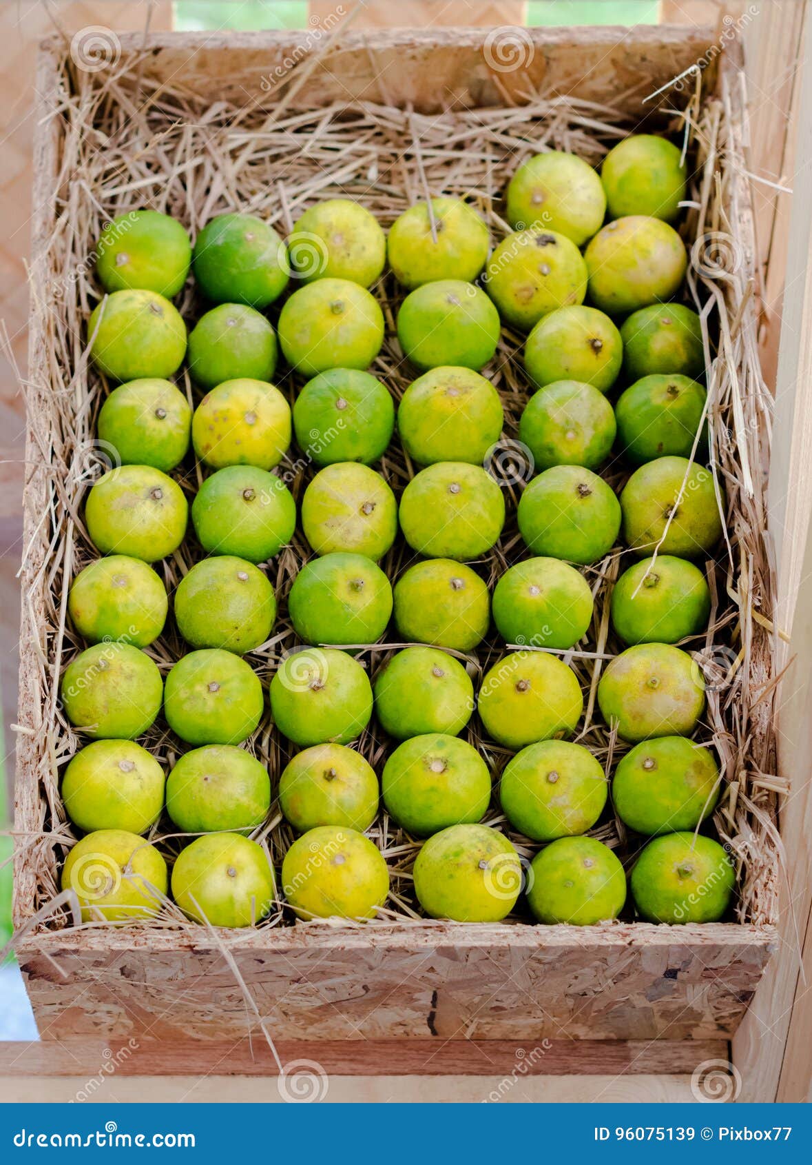 Group of lime in box stock image. Image of green, ingredients - 96075139