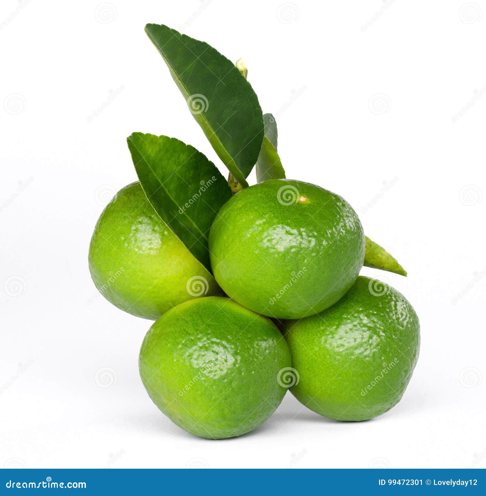 Group Lime Fruit Isolate on White Stock Image - Image of leaf, acid ...
