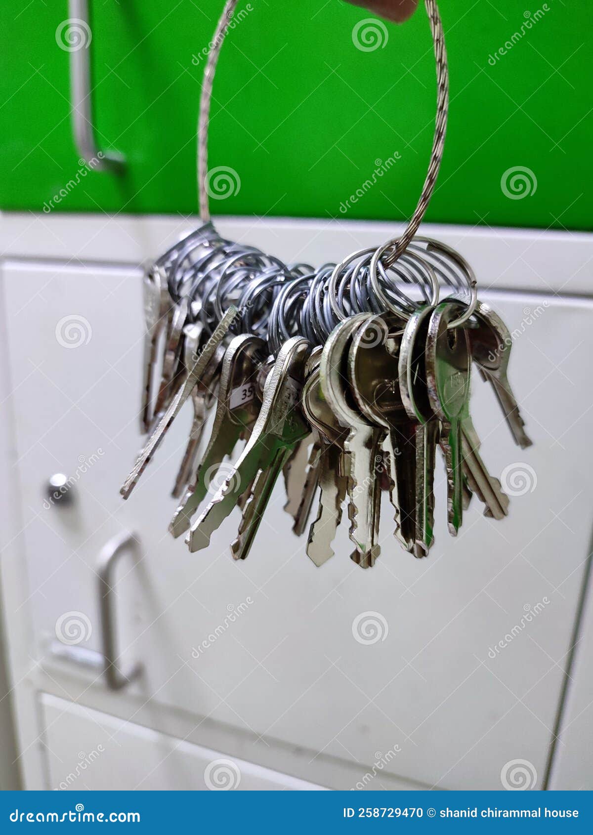 Group of Locker Keys Hanging Stock Photo - Image of lock, insect: 258729470