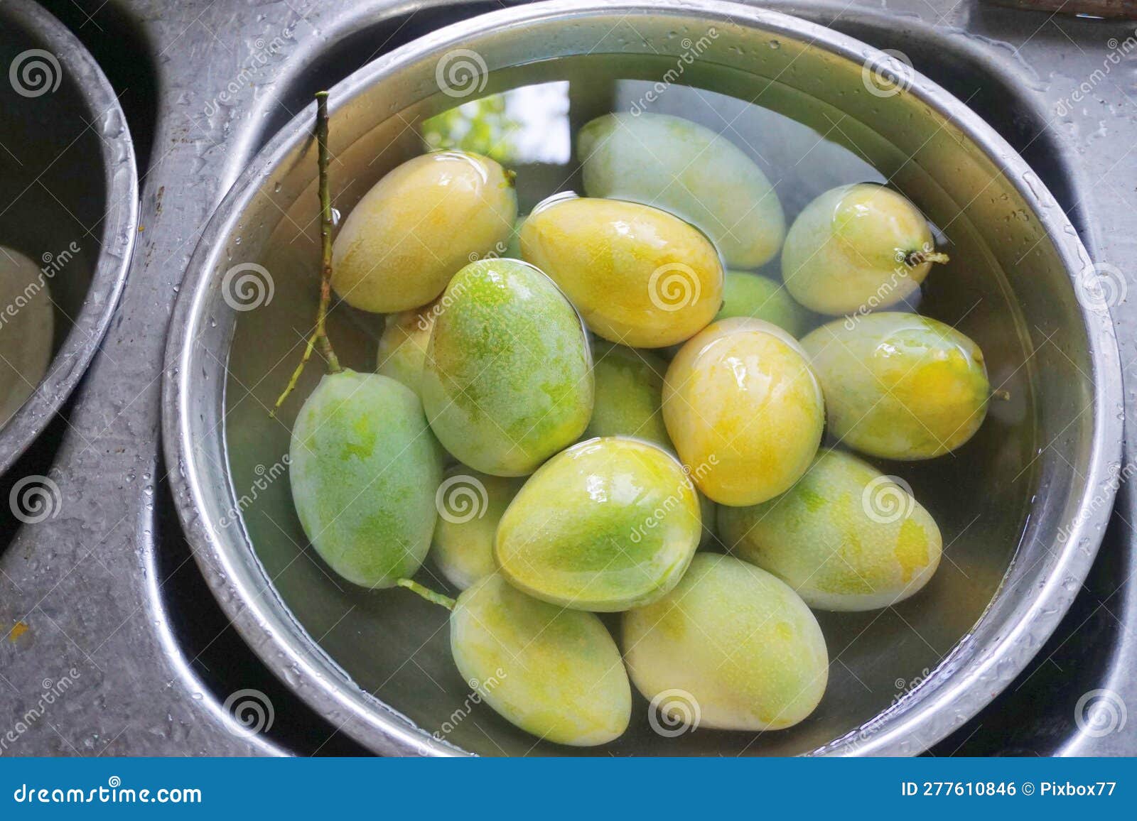 Group of Mango Washing in Basin Close Up Group of Mango Washing in ...
