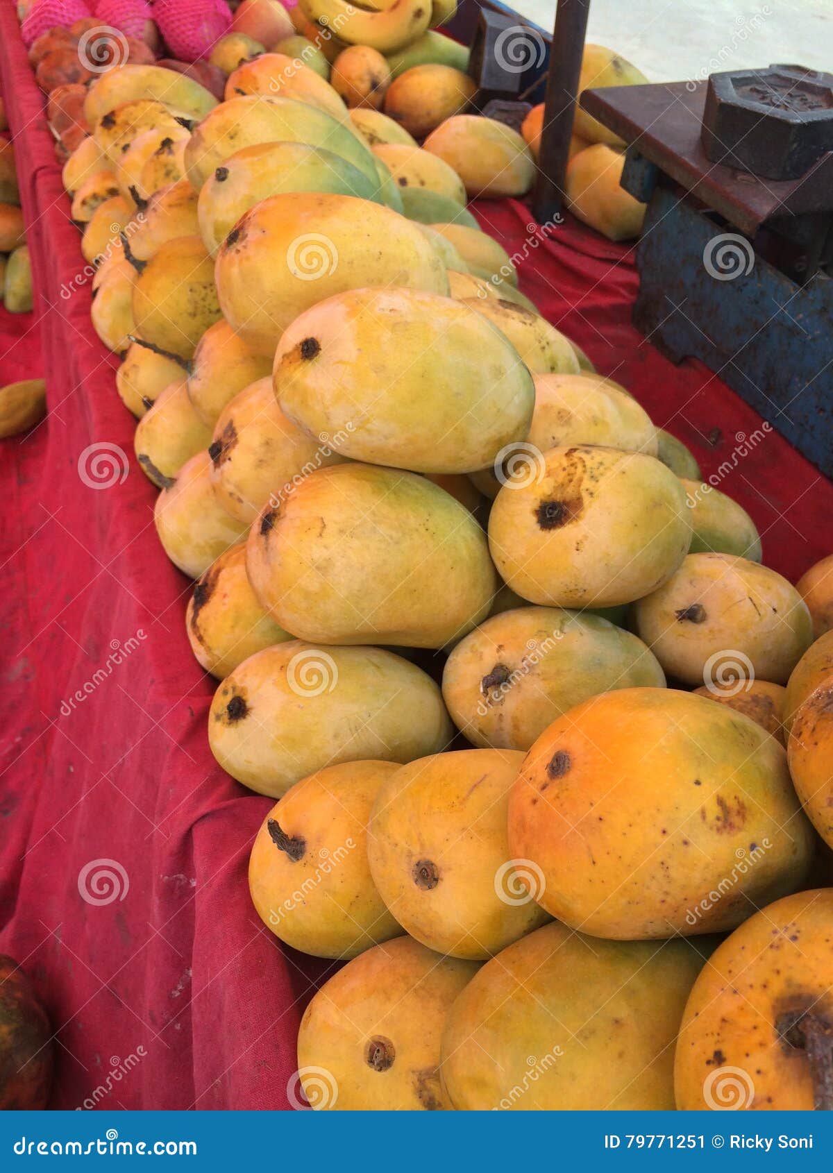 Group of mangoes fruit stock image. Image of fruit, fruits - 79771251