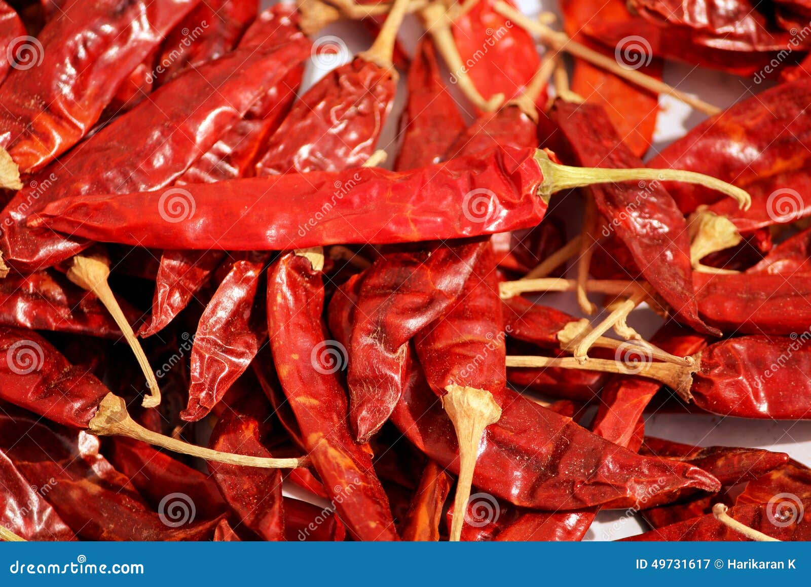 Group of Many Dried Red Spicy Natural Chilly Collections Stock Image ...