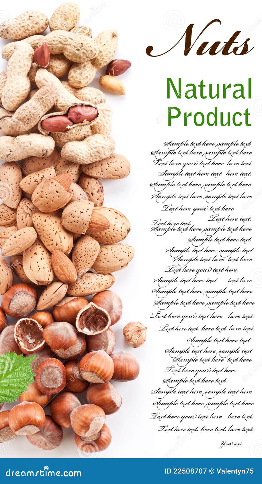 Group mixed nuts. stock image. Image of macro, peanuts - 22508707