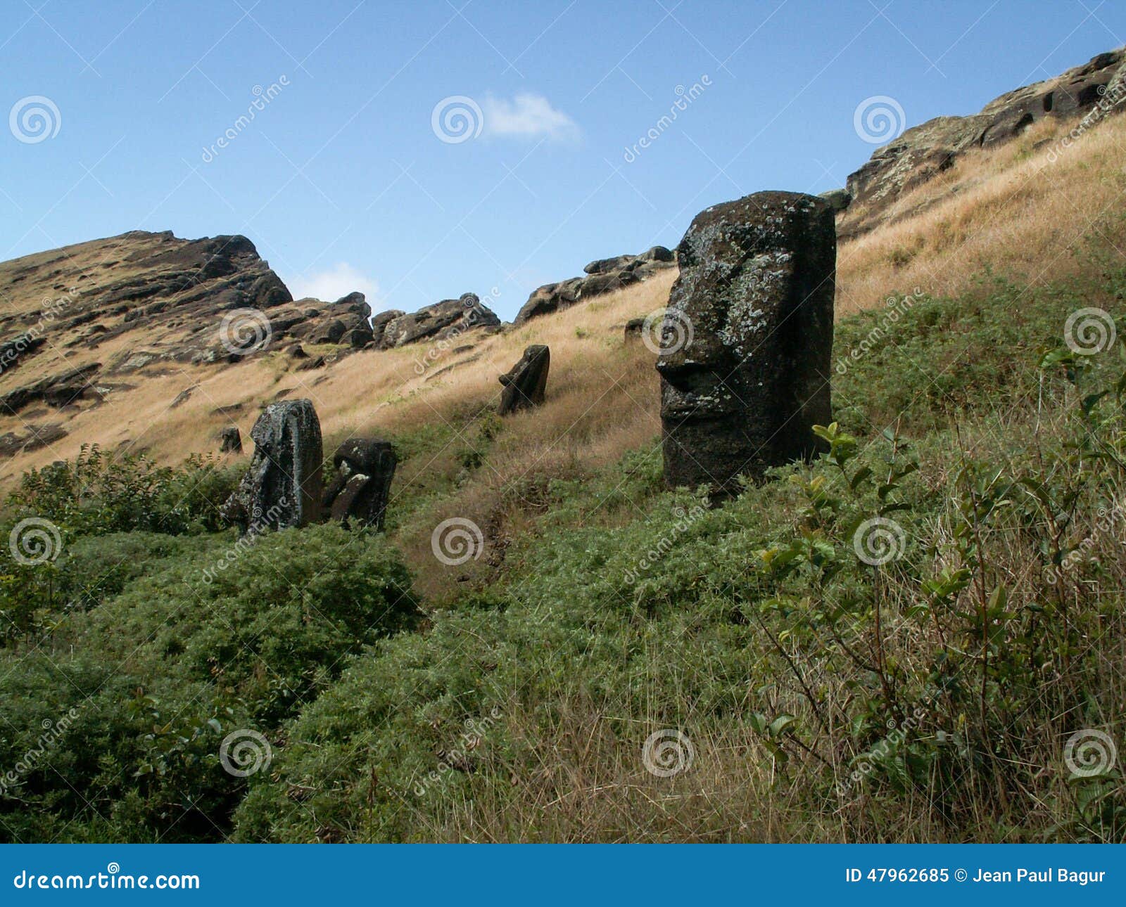 Group of Moai in Nursery stock image. Image of botanical - 47962685