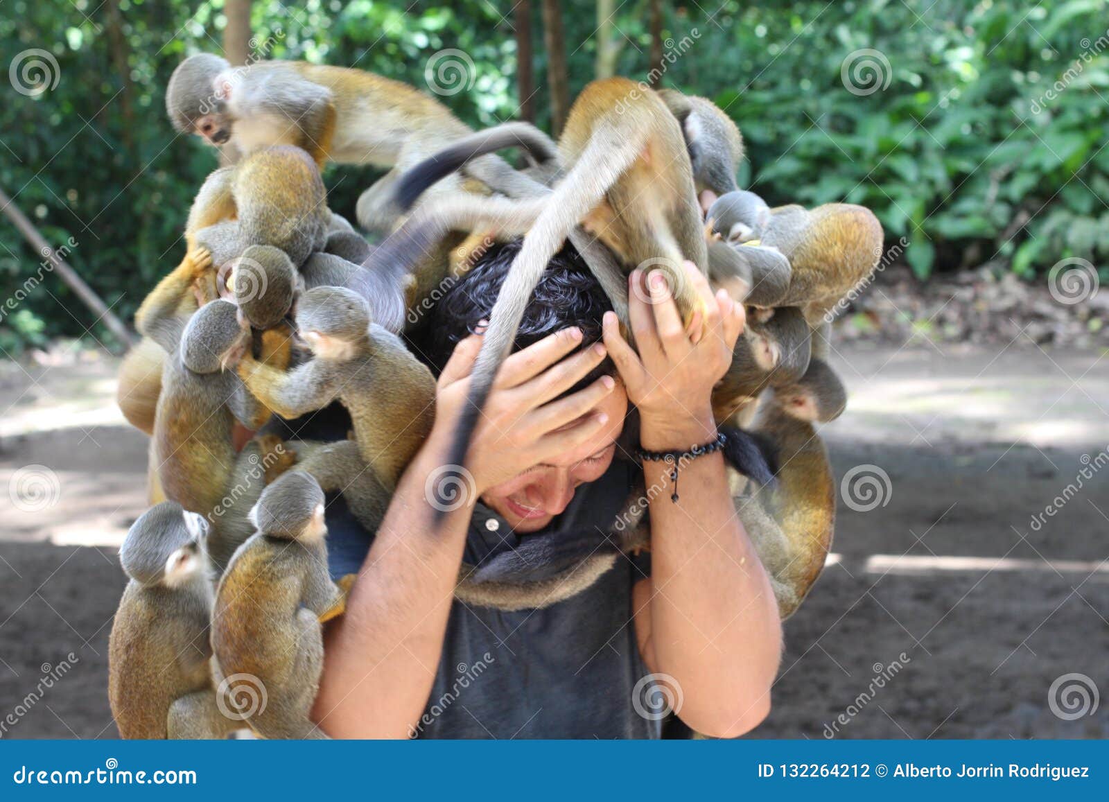 Ape Man Fighting Stock Photos - Free & Royalty-Free Stock Photos from ...