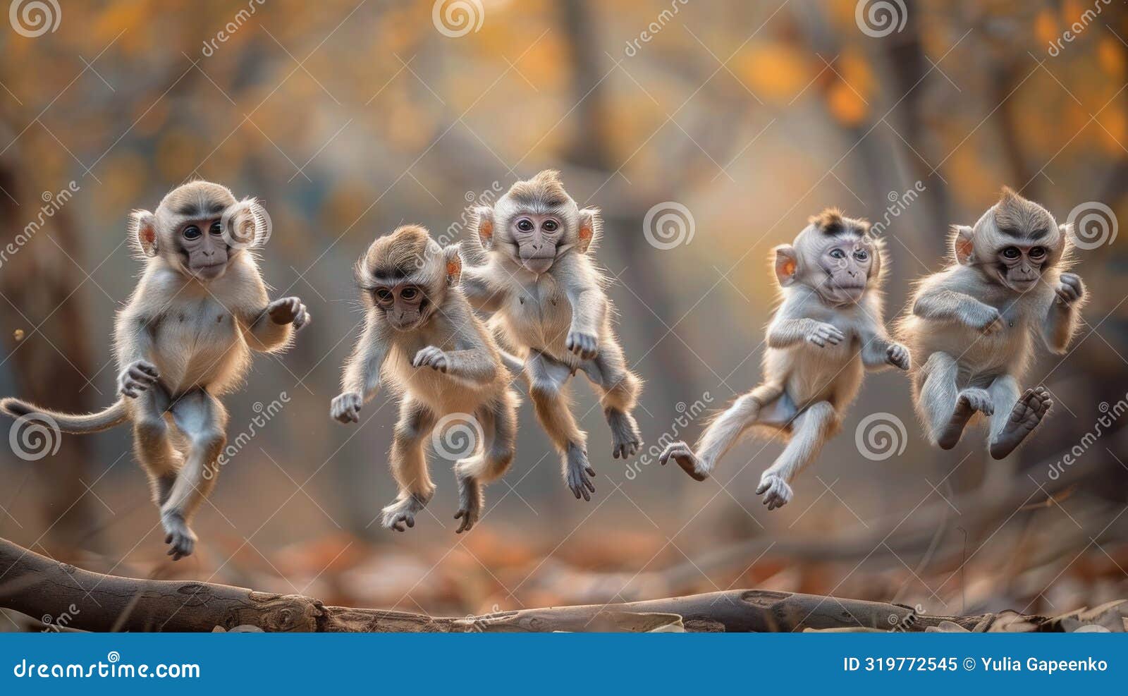 Group of Monkeys Jumping in the Air Stock Image - Image of dynamic ...