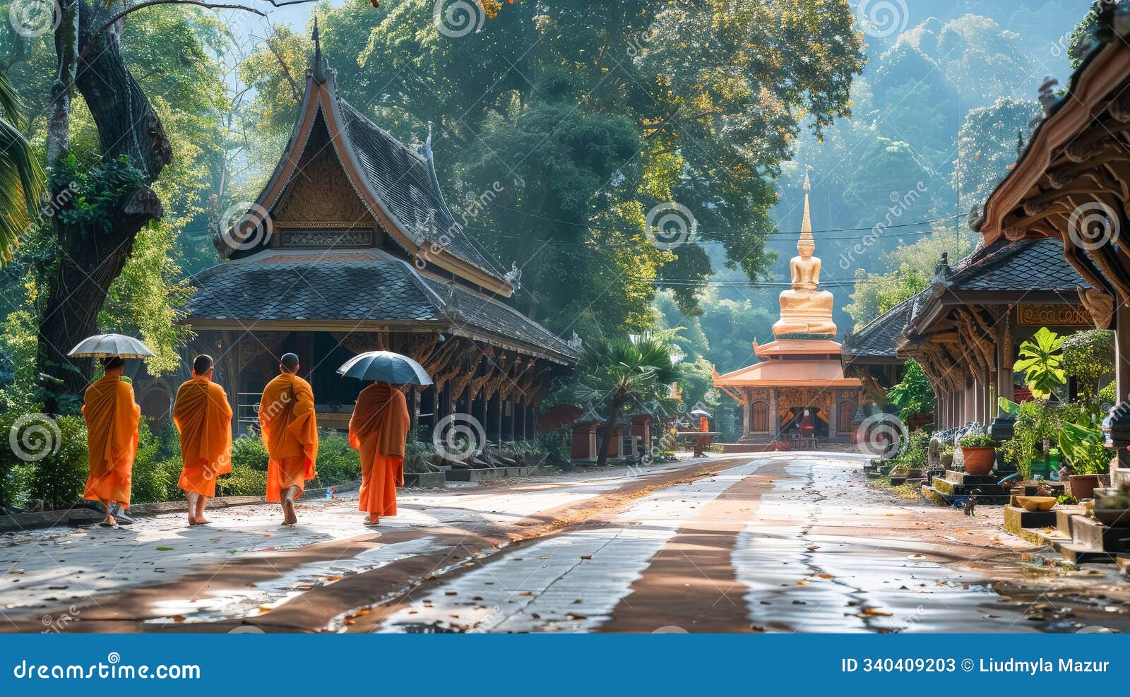Group of Monks Walk Down a Path in the Rain, Holding Umbrellas Stock ...