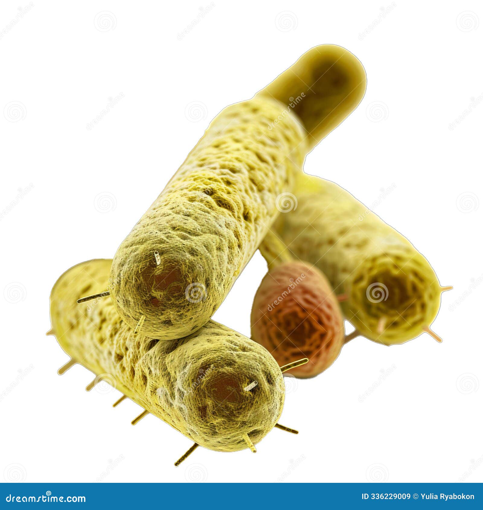 Group of Multidrug Resistant Acinetobacter Baumannii Bacteria Forming a ...