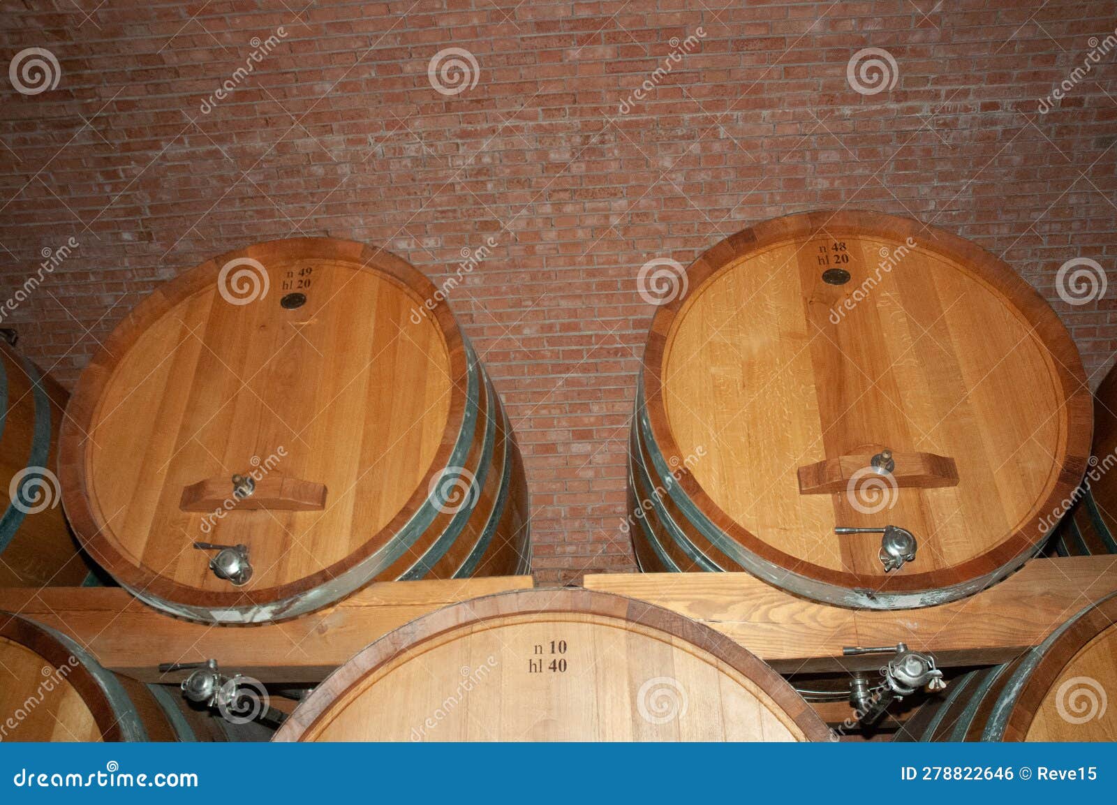 Group of French Oak Wood, Aging Barrels, in a Vineyard Cellar, Stock ...