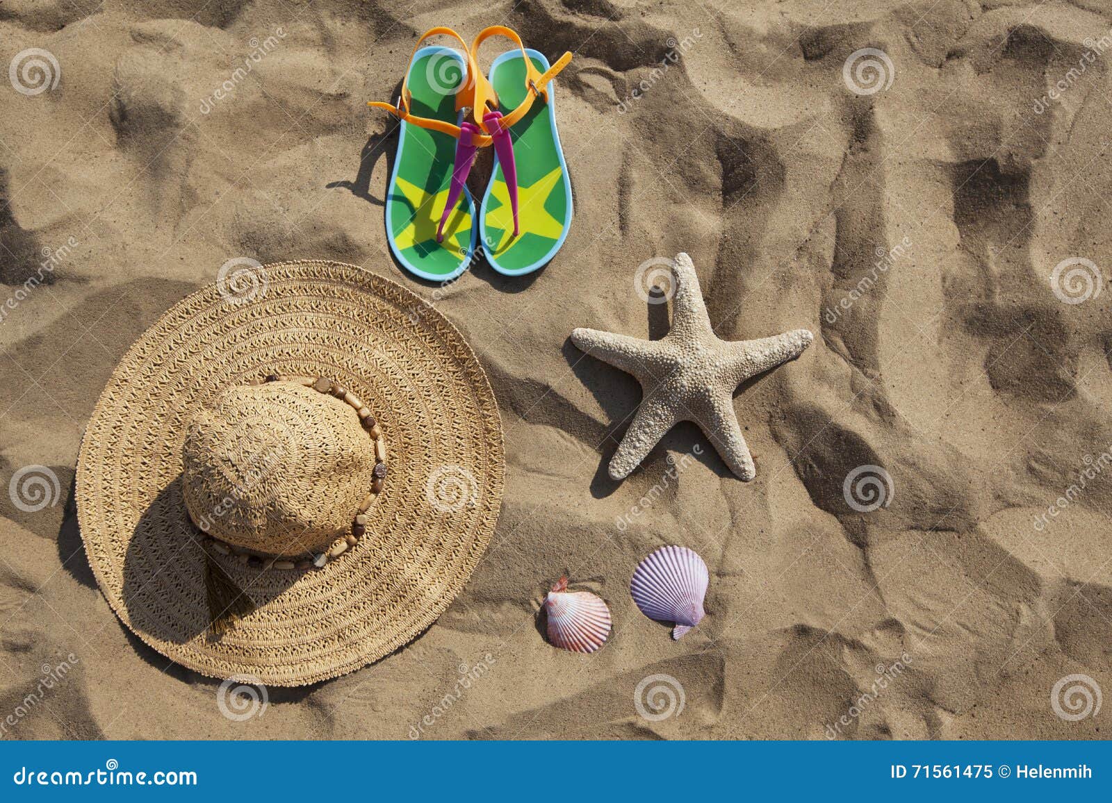Group of Objects on the Sand Stock Image - Image of starfish, topical ...