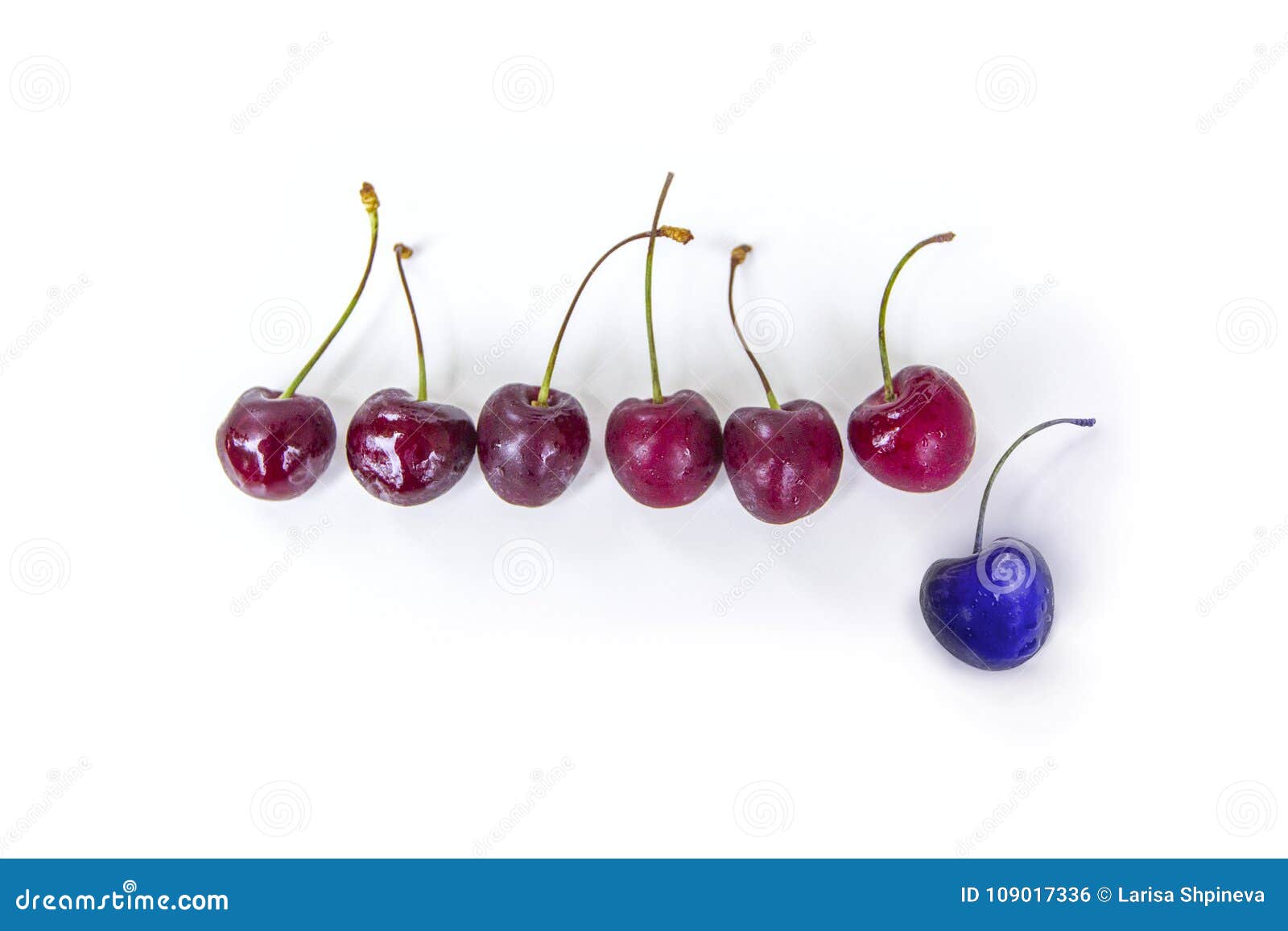 Red Cherries in a Row on a White Background, One Cherry Ultra Violet ...