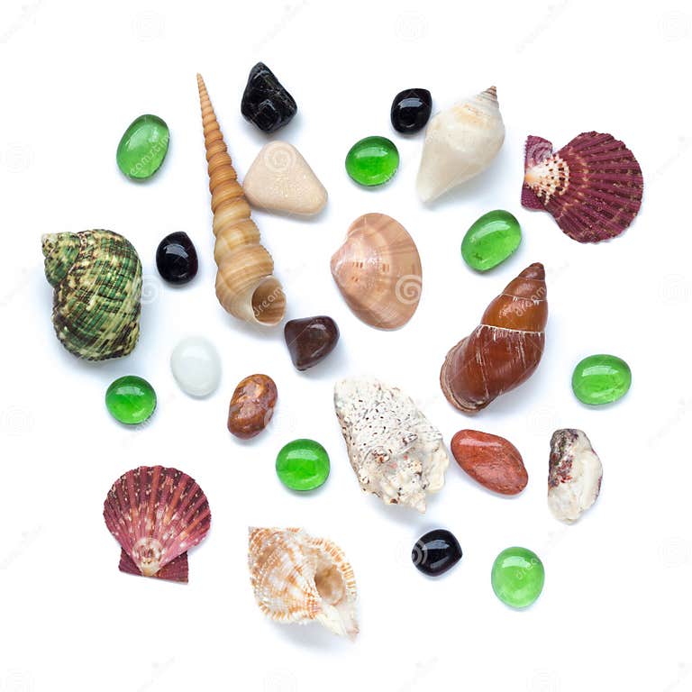 Mussels and Shells in Bright Colors Stock Image - Image of colorful ...