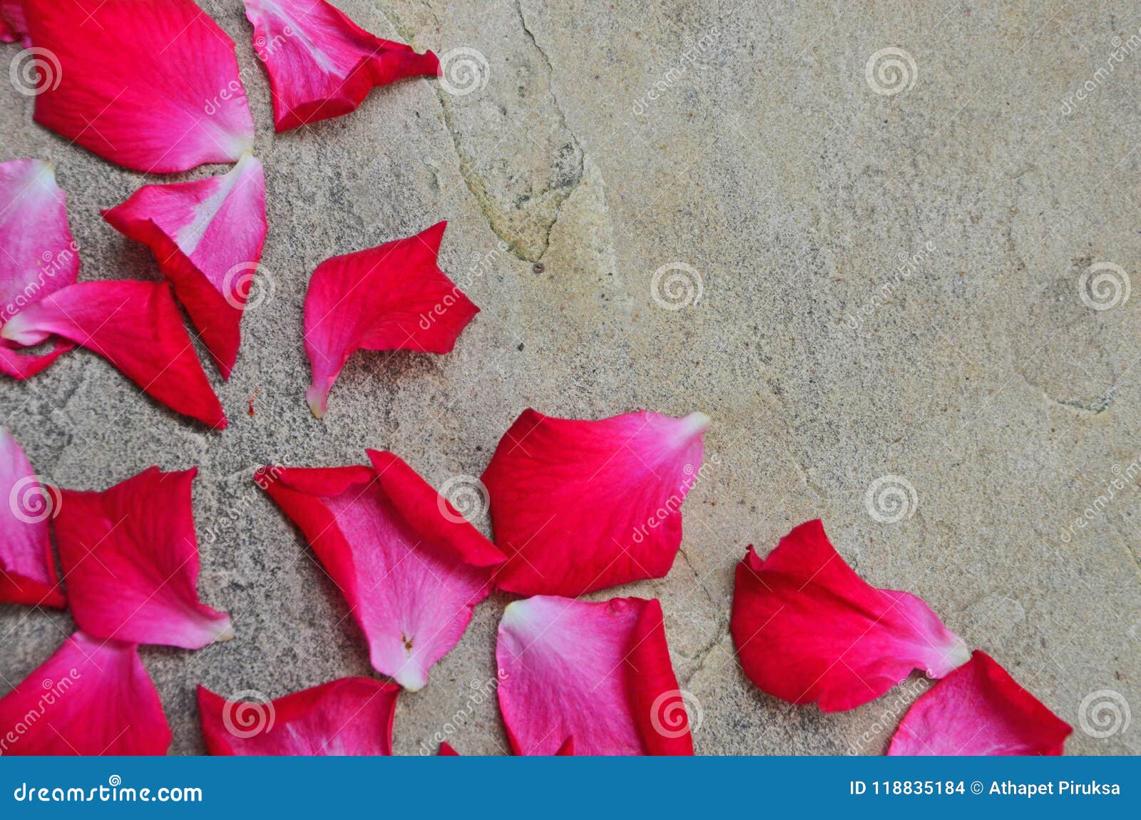 Group of Rose Petals on Stone Floor Stock Photo - Image of bright ...