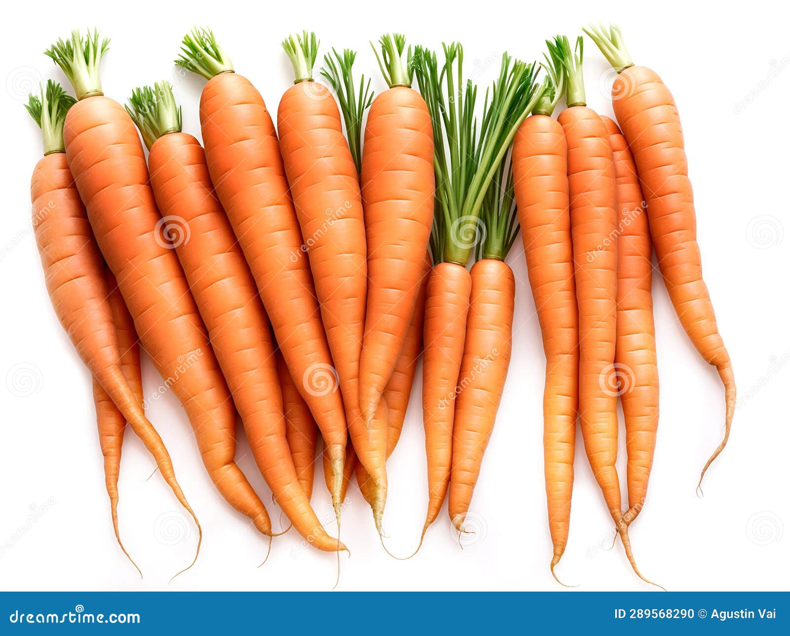 Carrots Group Symbol Logo Vector | CartoonDealer.com #197737137