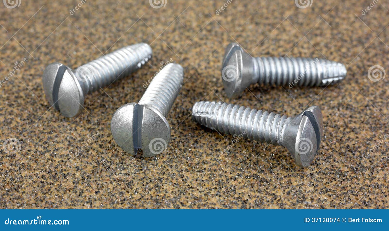 Group of Pan Head Thread Cutting Screws Stock Photo - Image of screws ...