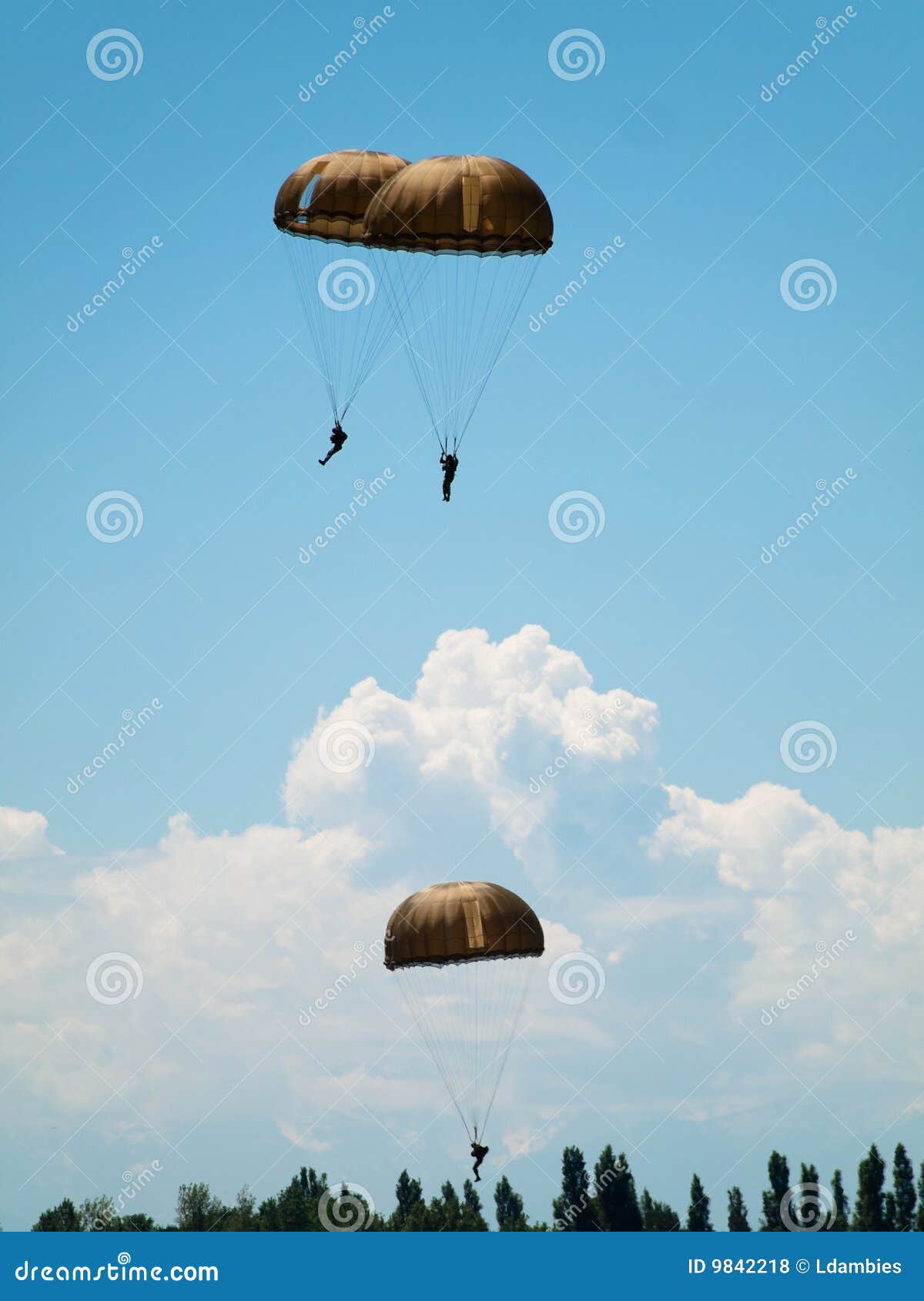 Group of parachutists stock photo. Image of sport, parachuting - 9842218