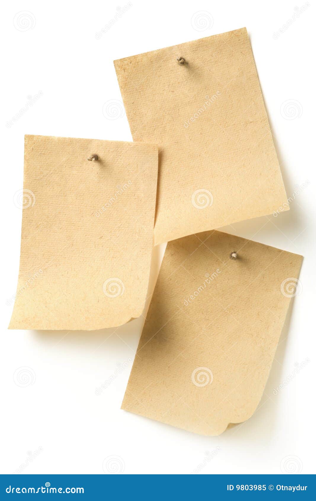 Group of Parchment Nailed with Spikes Stock Image - Image of paper ...