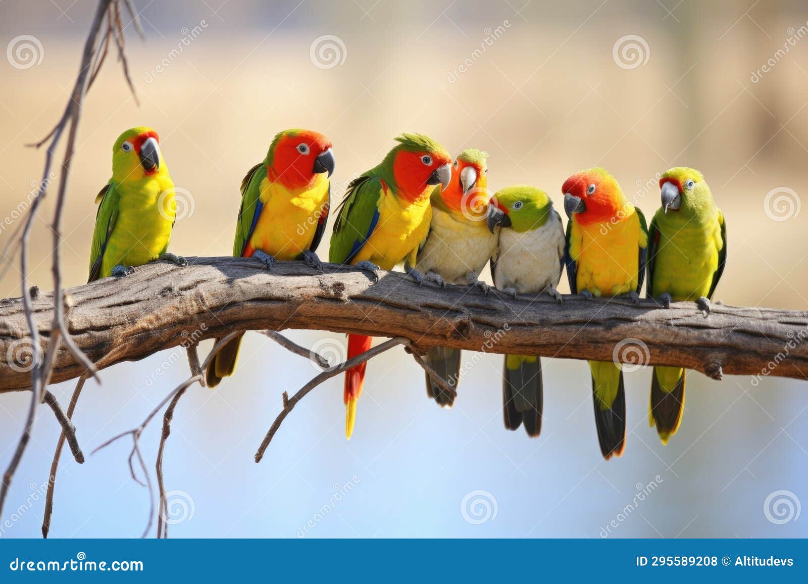 A Group of Parrots Perched Together on a Tree Branch Stock Photo ...