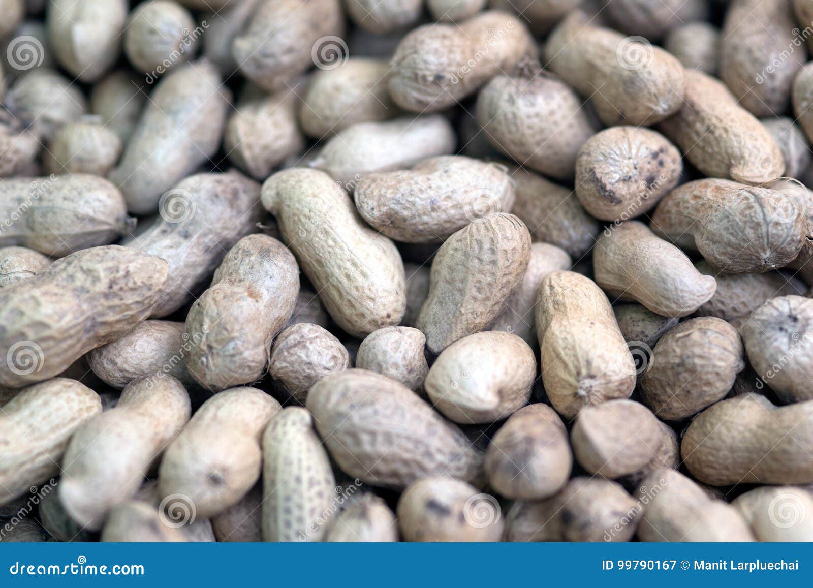 Peanuts seeds. stock image. Image of nutshell, abstract - 99790167