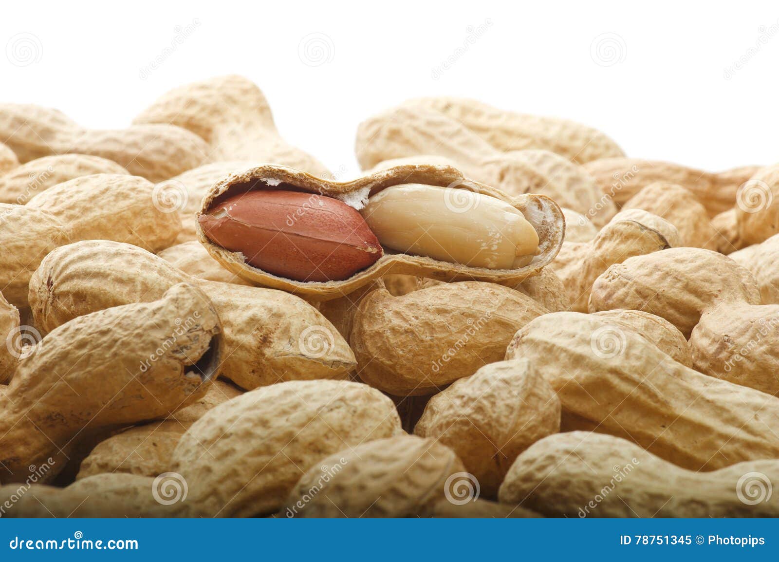 Group of peanuts stock image. Image of dried, white, close - 78751345
