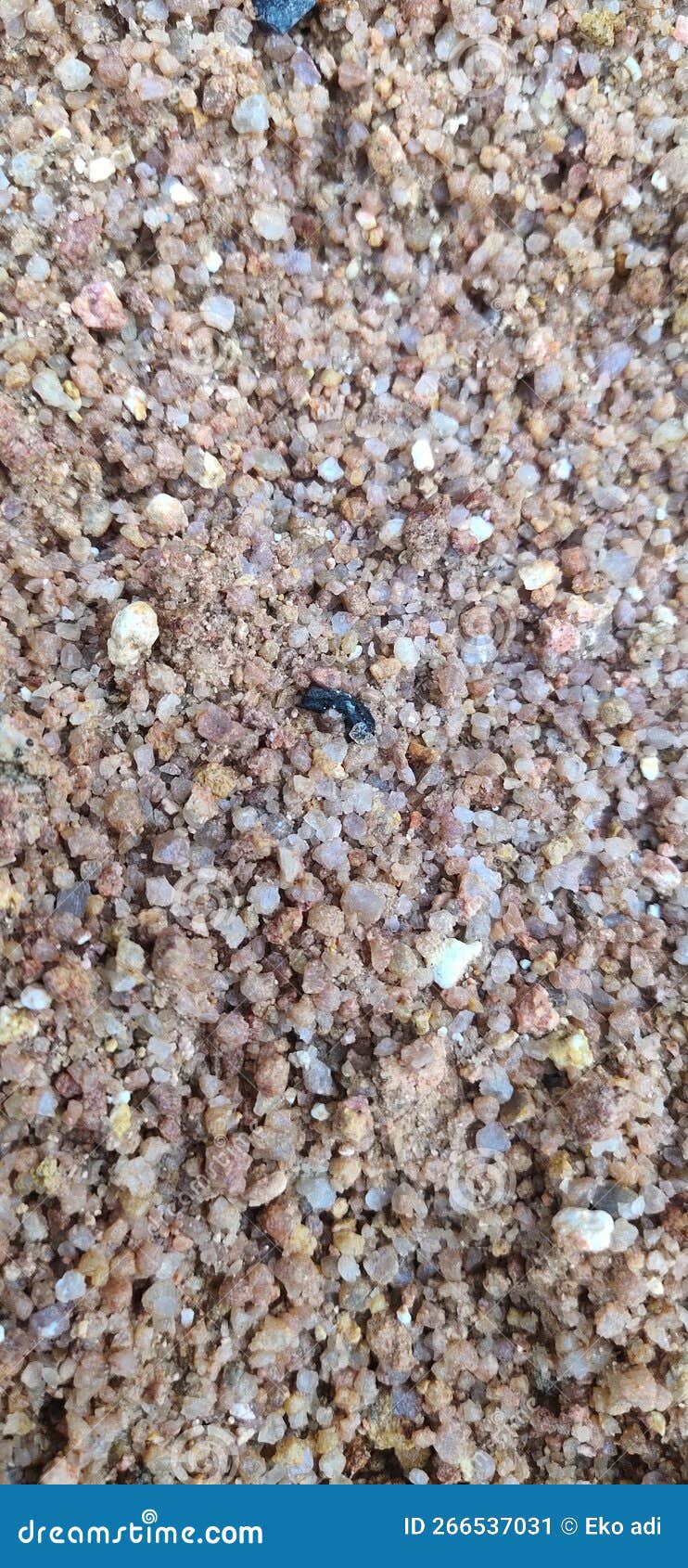 A Group of Pebbles in Front of the Yard Stock Image - Image of flooring ...