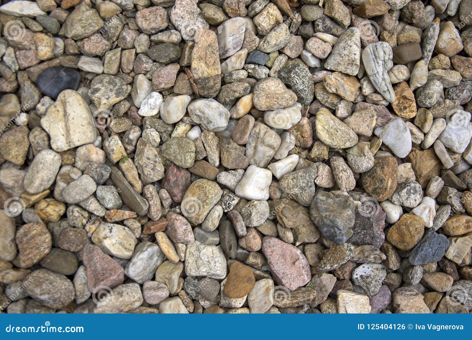 Group of Pebbles, Light Colors, Stone Background, Round and Smooth ...