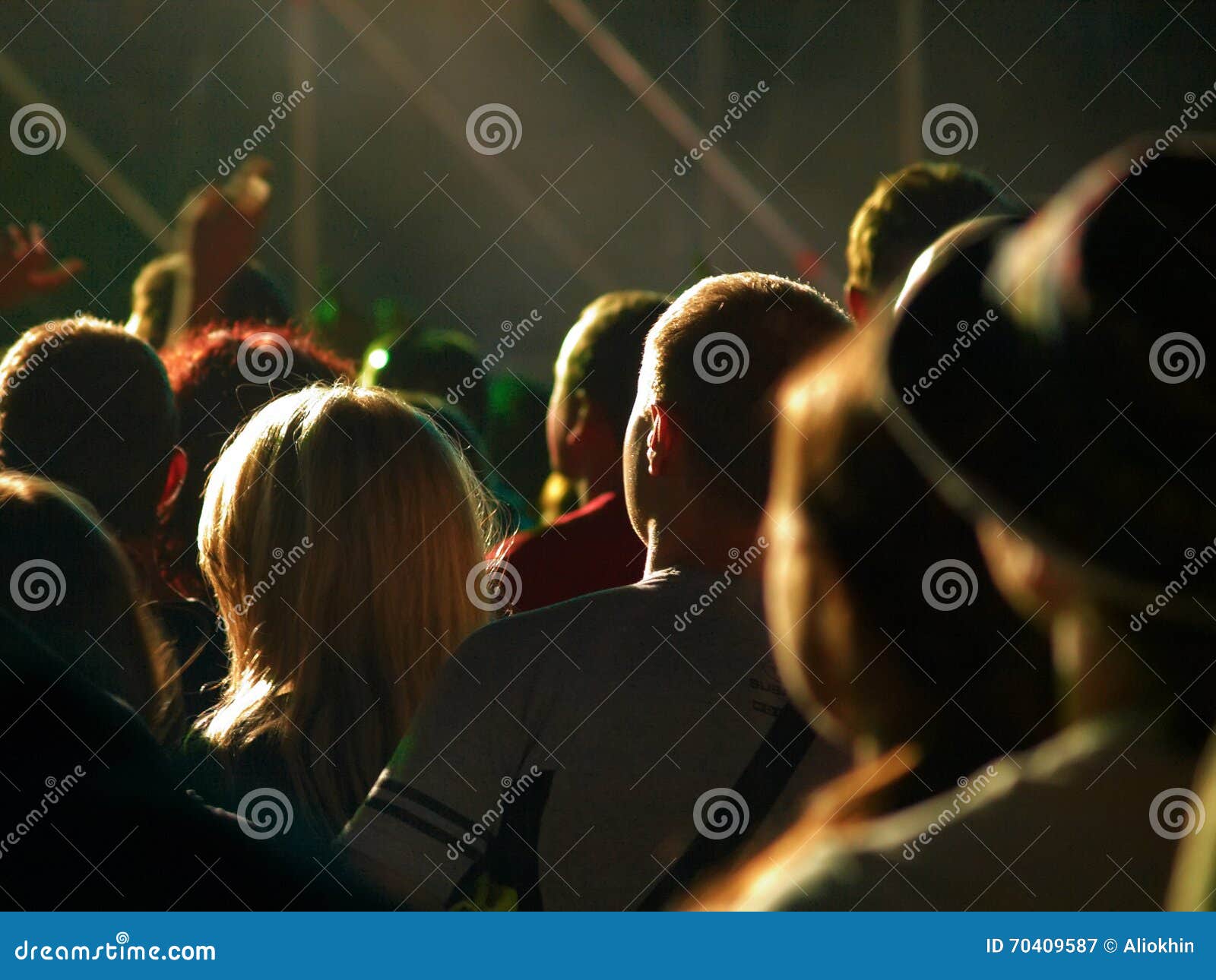 Group of People from Behind Stock Image - Image of live, performance ...
