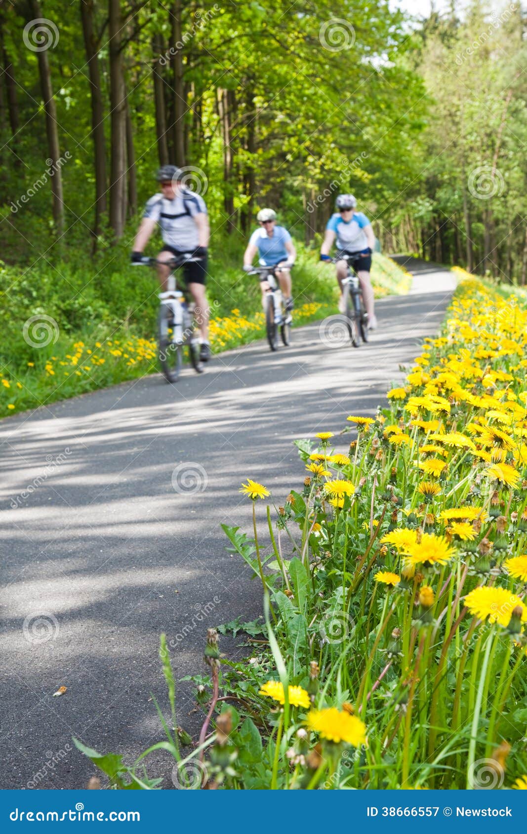 Group of people bicycling stock image. Image of family - 38666557