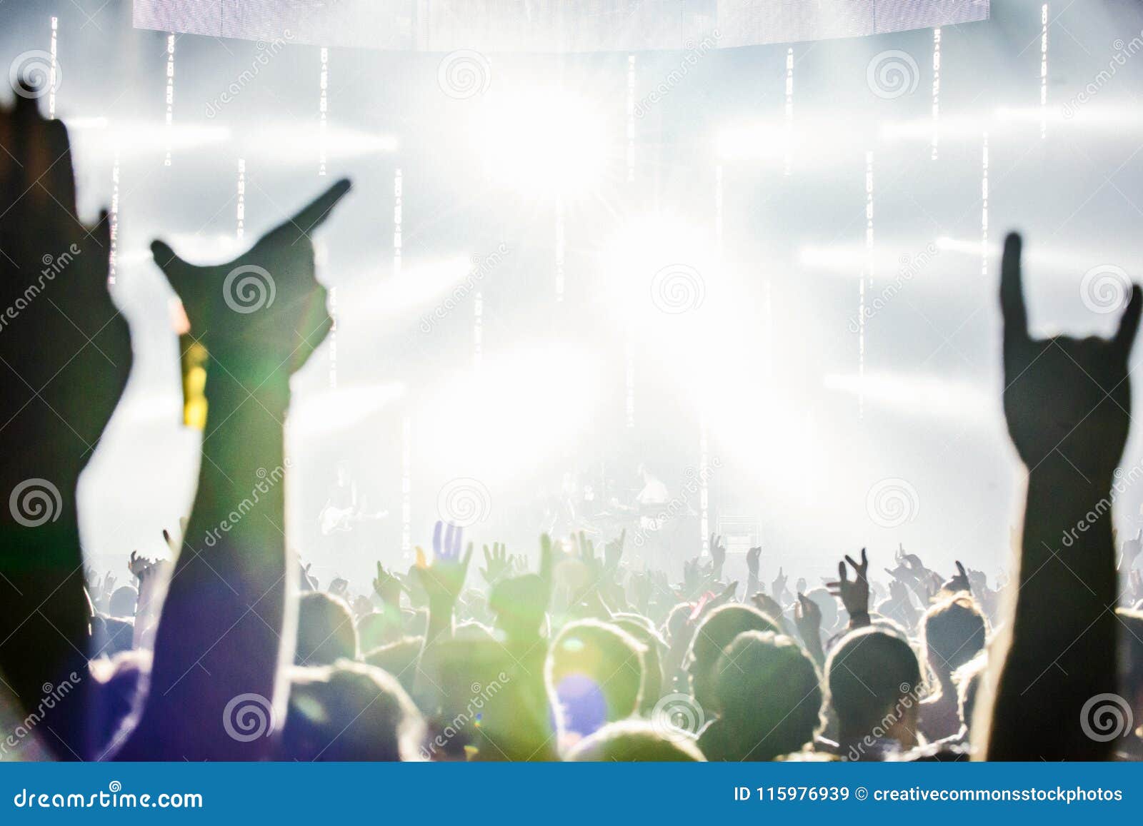 Group Of People On Event Picture. Image: 115976939